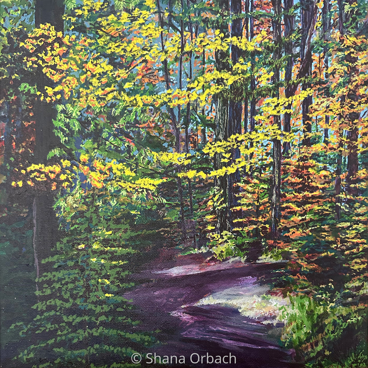Paintings: The Path I Didn't Take by Shana Orbach | Art Marketplace ...